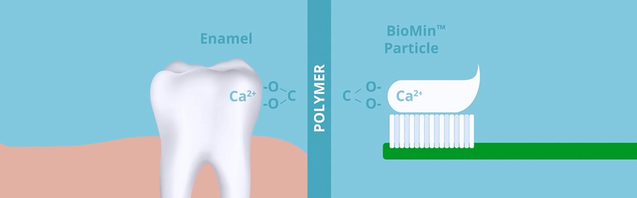 How BioMin Works | BioMinF Toothpaste